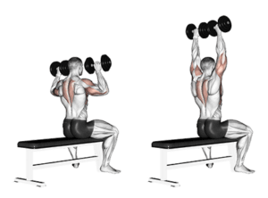 5 programmes d’entrainement haut du corps - Progresser en musculation